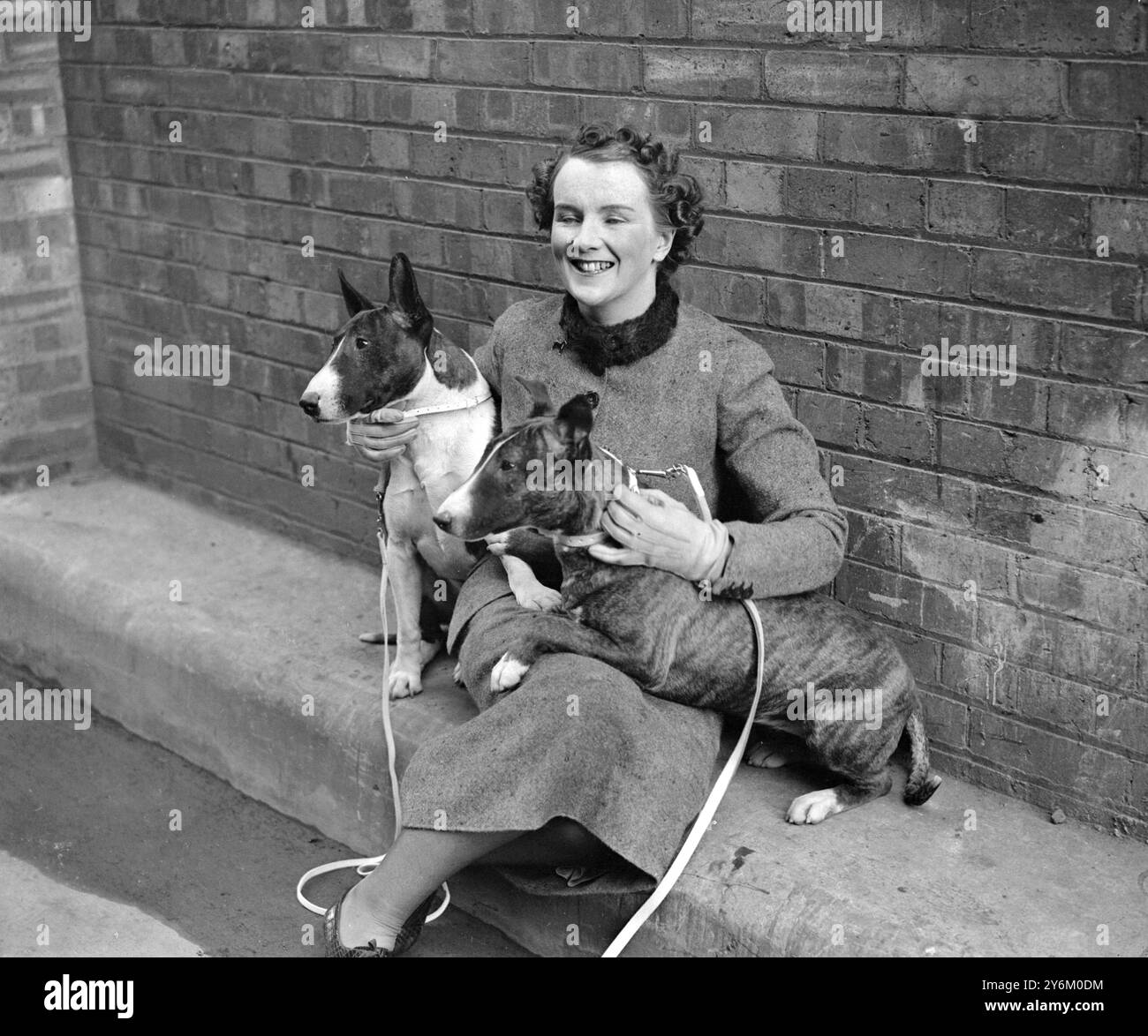 National Terrier Show at Olympia. Mrs R.F.R. McNeill with her Bull ...