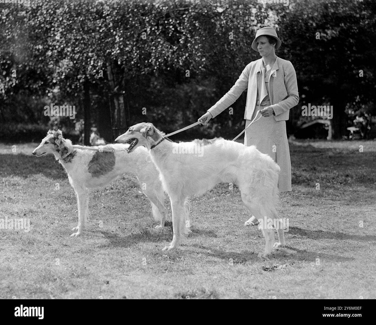 Sandy Dog Show, Bedfordshire. Mrs Praga with her Champion Borzois 31 ...