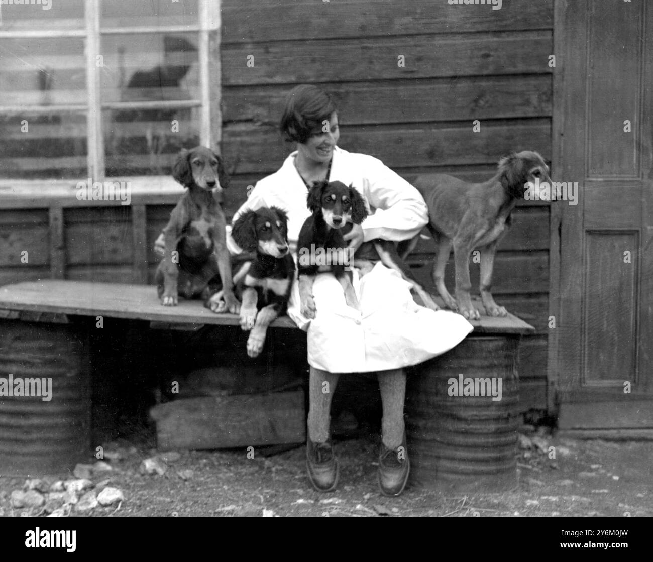 Brigadier General Lance's Saluki Kennels at Wrotham Kent. Kennel maid ...