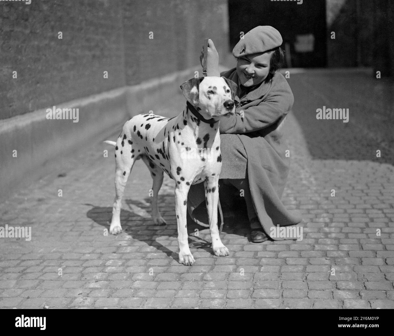 British Dalmatian Club's show at Tattersalls. Miss Georgie Fisher with ...