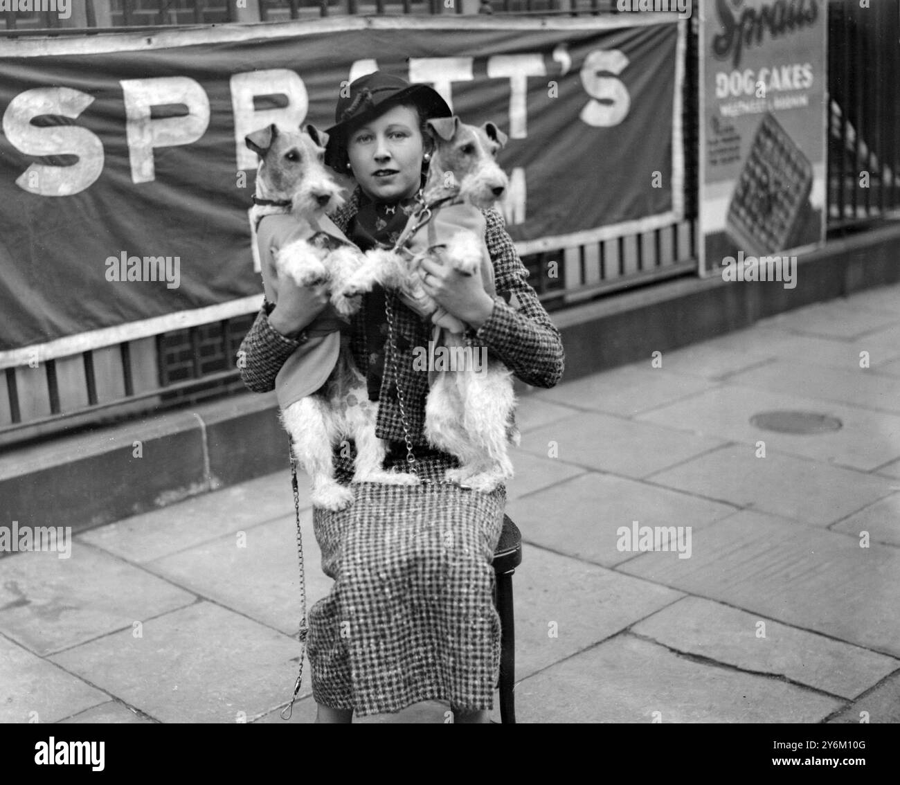 Terrier Club Championship Show at Handel Street Drill Hall, Holborn ...