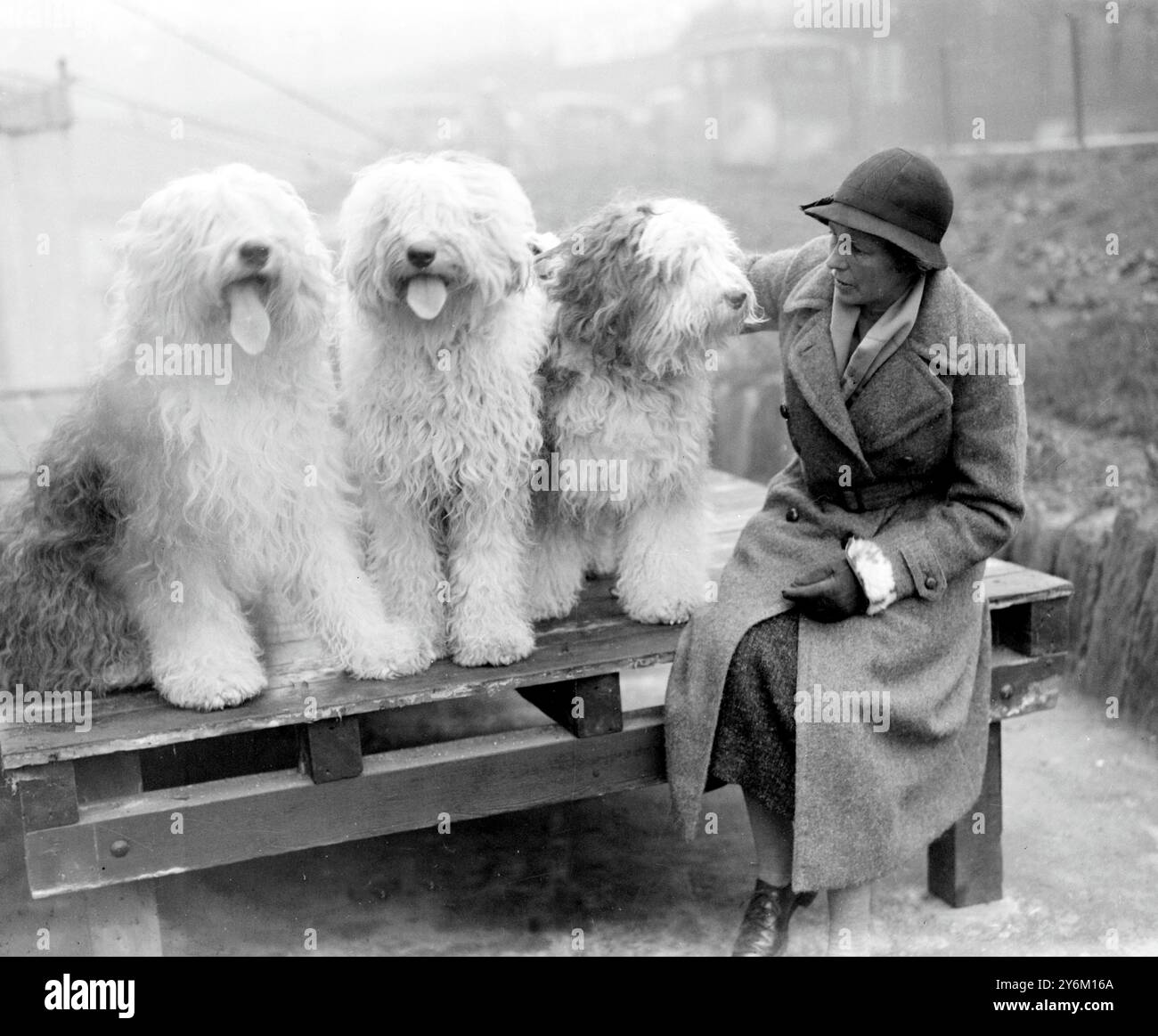 Tunbridge Wells Canine Society's Show. Miss Smailes with her three ...