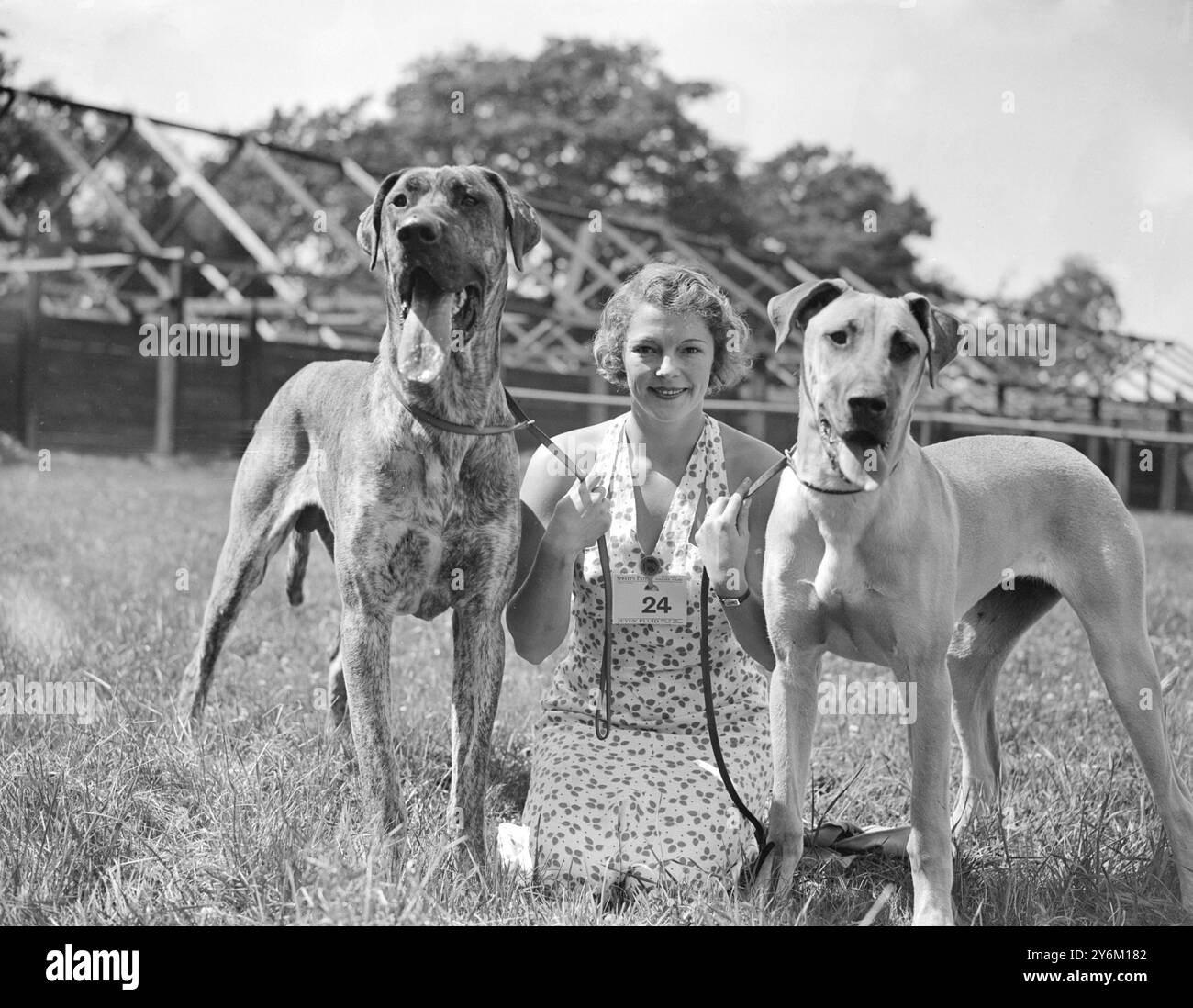 Show the l Black and White Stock Photos & Images - Alamy