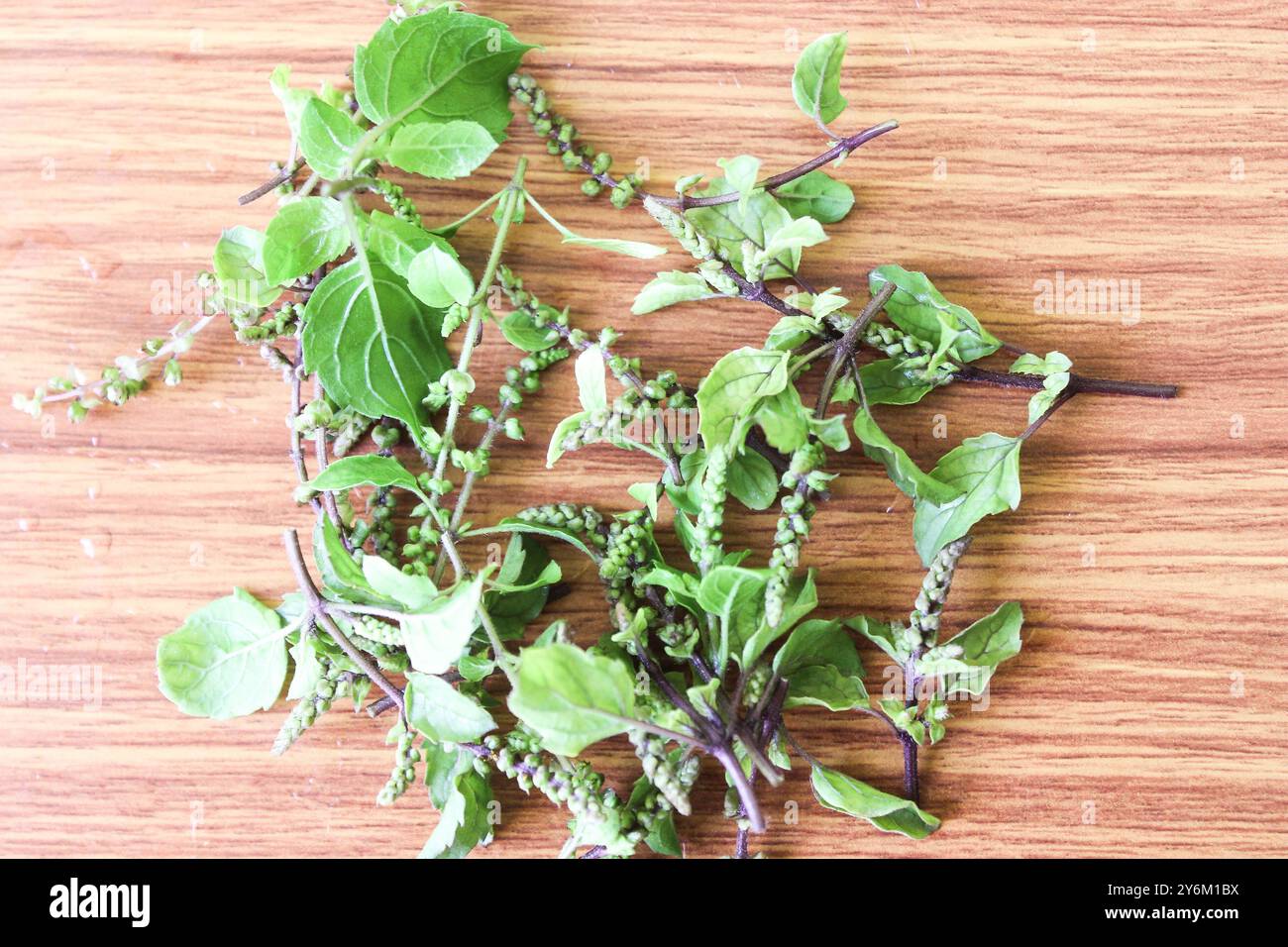 Thai holy basil with their flower and leaves put on brown wooden background Stock Photo - Alamy