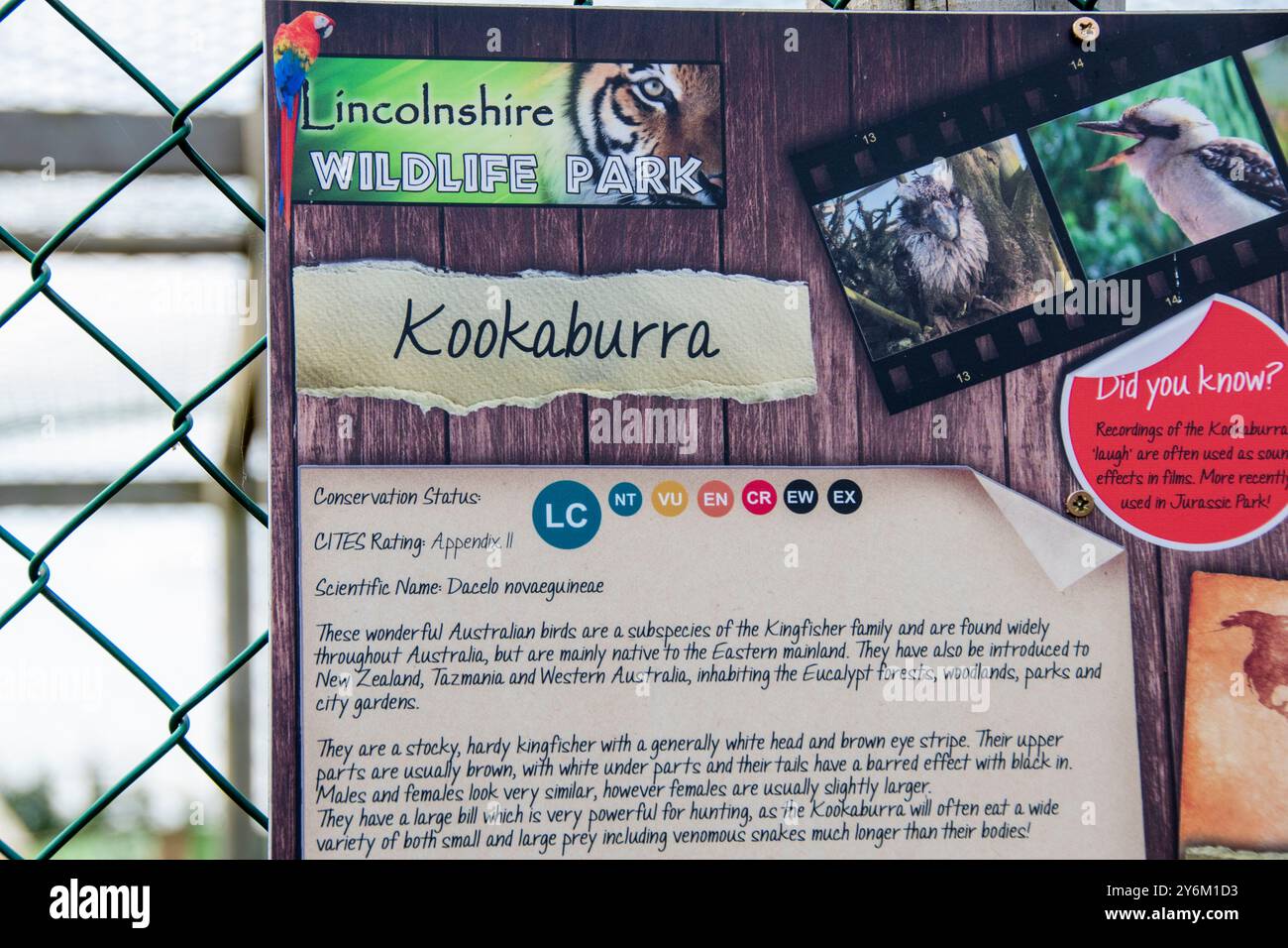 An information board about he Australian Kookaburra bird at ...