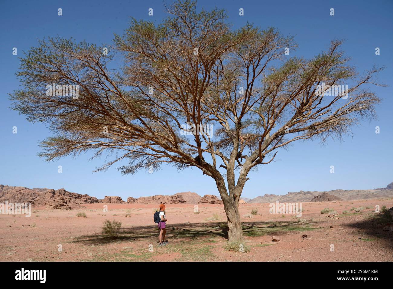Jordan, Middle east, Wadi rum desert, a young woman stands in the ...