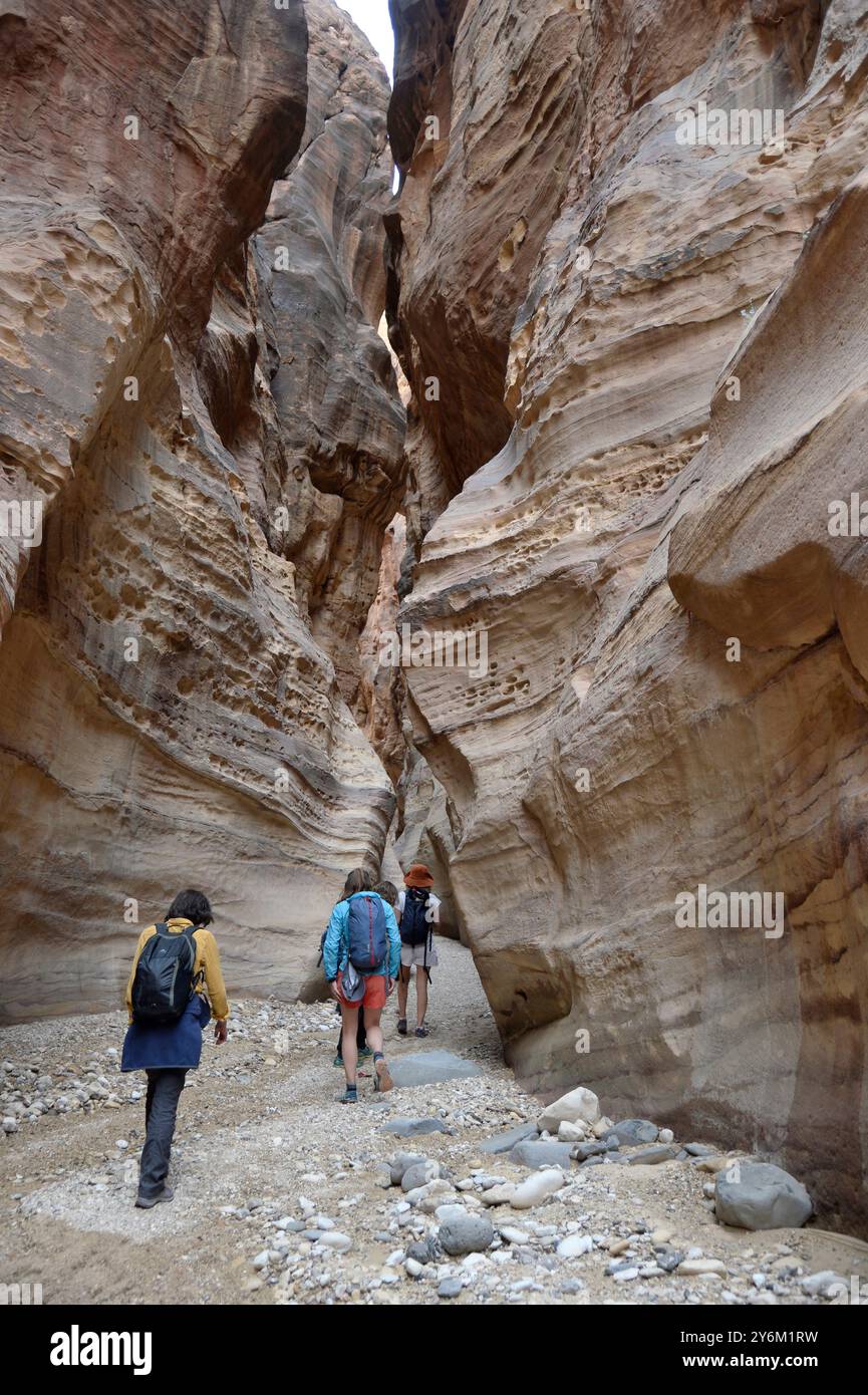 Jordan, Middle east, wadi GHUWEIR, a group of tourists walk in a narrow ...