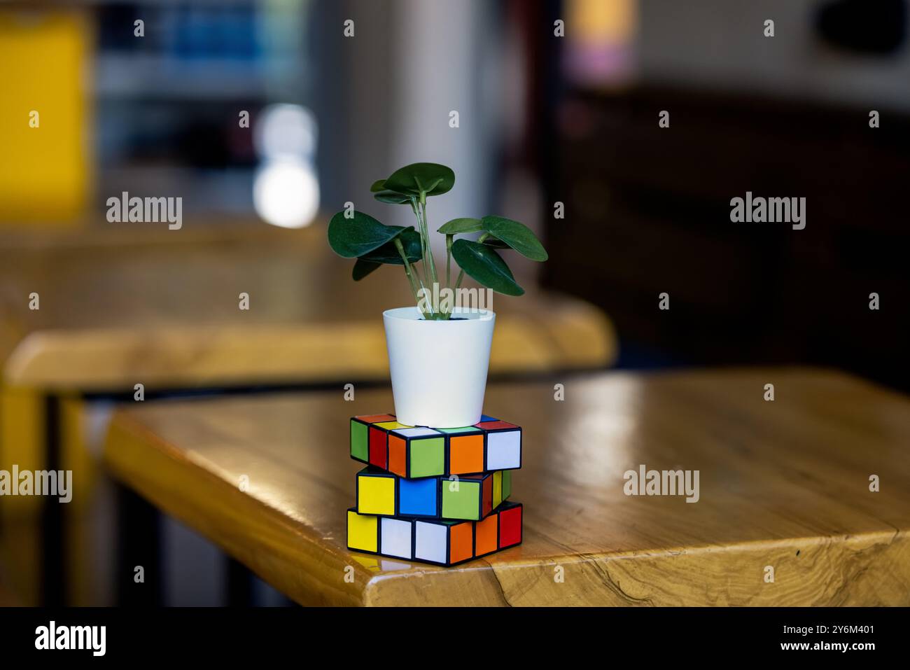 KUALA LUMPUR, MALAYSIA - 30th NOVEMBER 2021: Plant on a cube of rubik ...