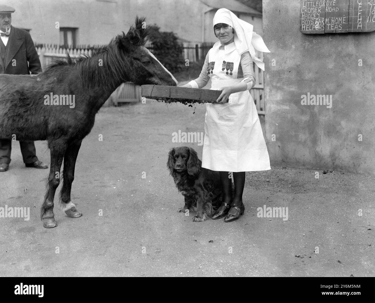 Edna Frusher, aged 11, of Folly Farm, New Barnet, who has be made a ...