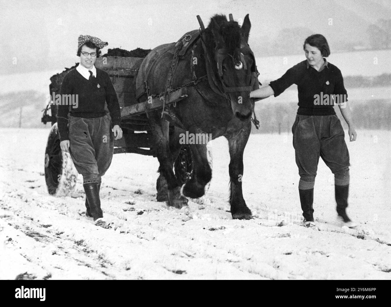 Cold Work for Land Girls Two land girls on a farm at Hartley Kent muck ...