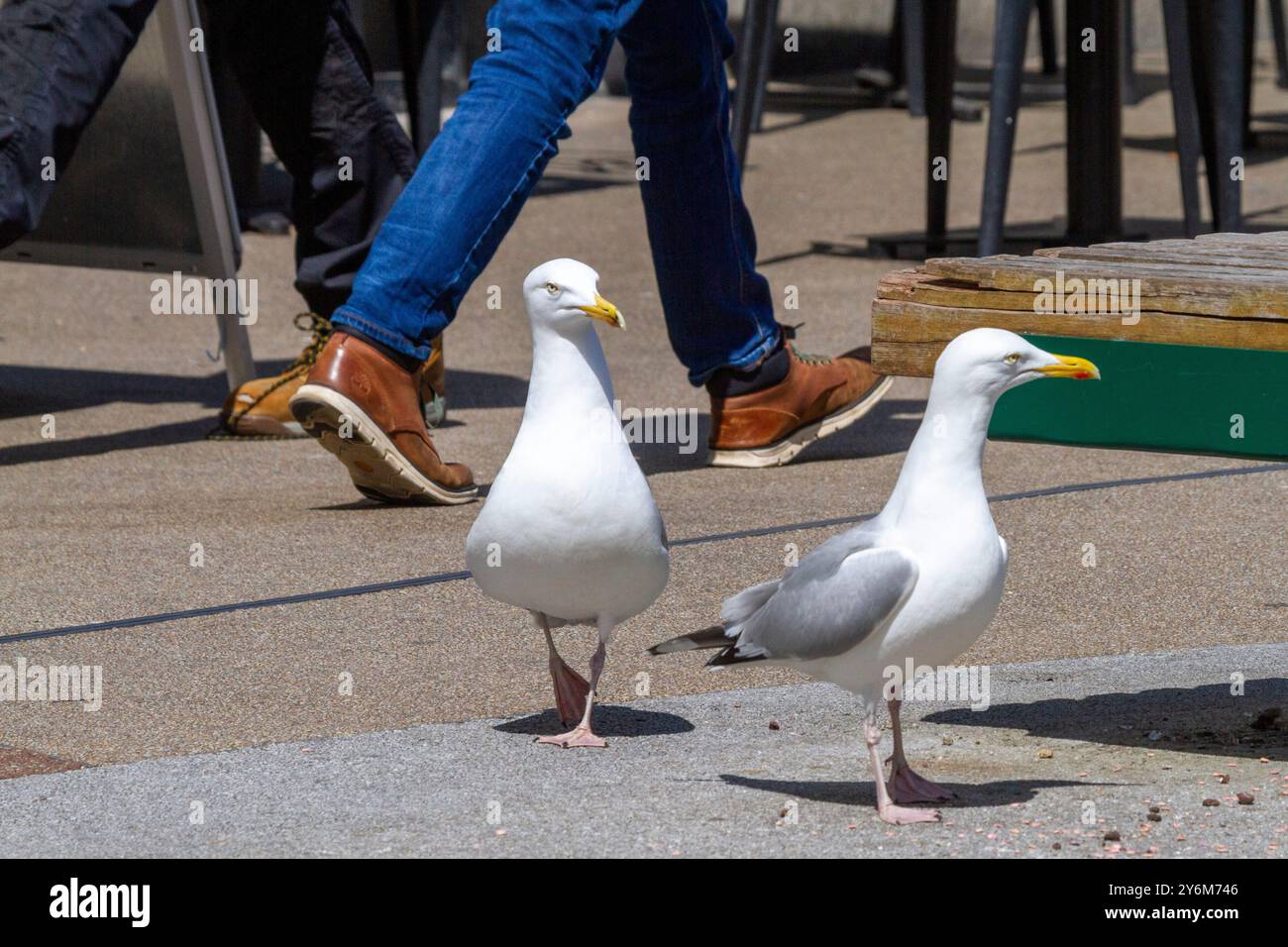 Passer person city life hi-res stock photography and images - Alamy