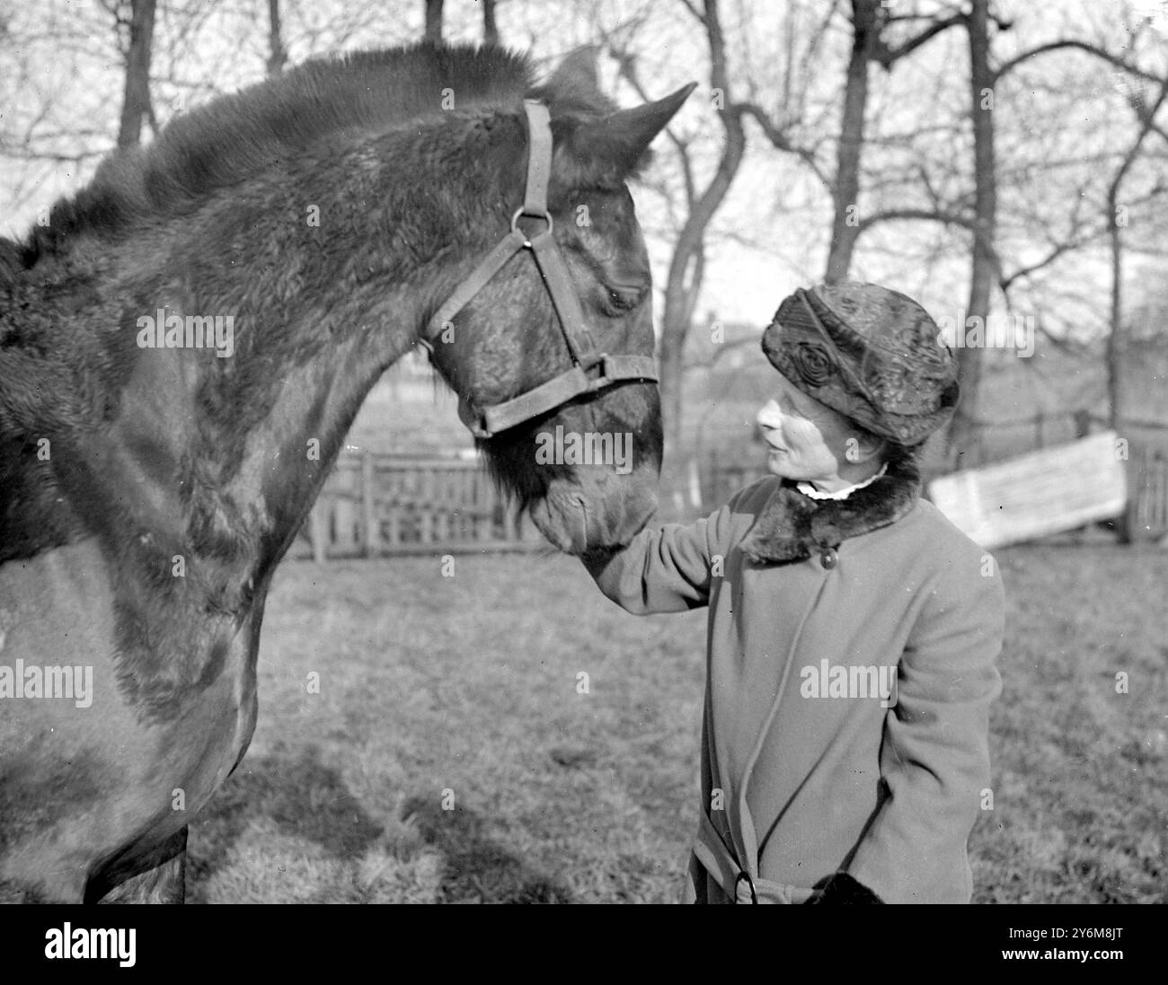 Miss Hayes, of Fore Street, Edmonton, (Head-Mistress of a local ...