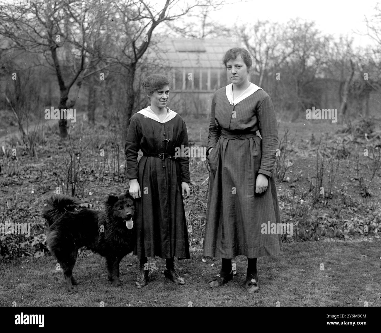 The Alfieri Chow "Peter". 14 February 1918 Stock Photo - Alamy