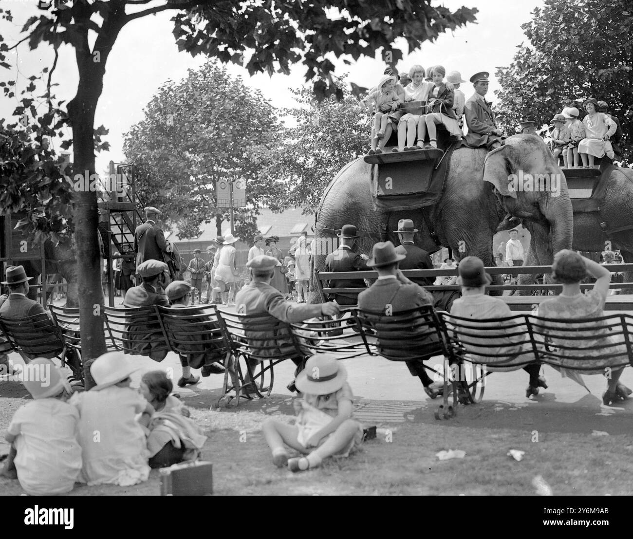 The Zoo (London). Elephant rides with children Stock Photo - Alamy