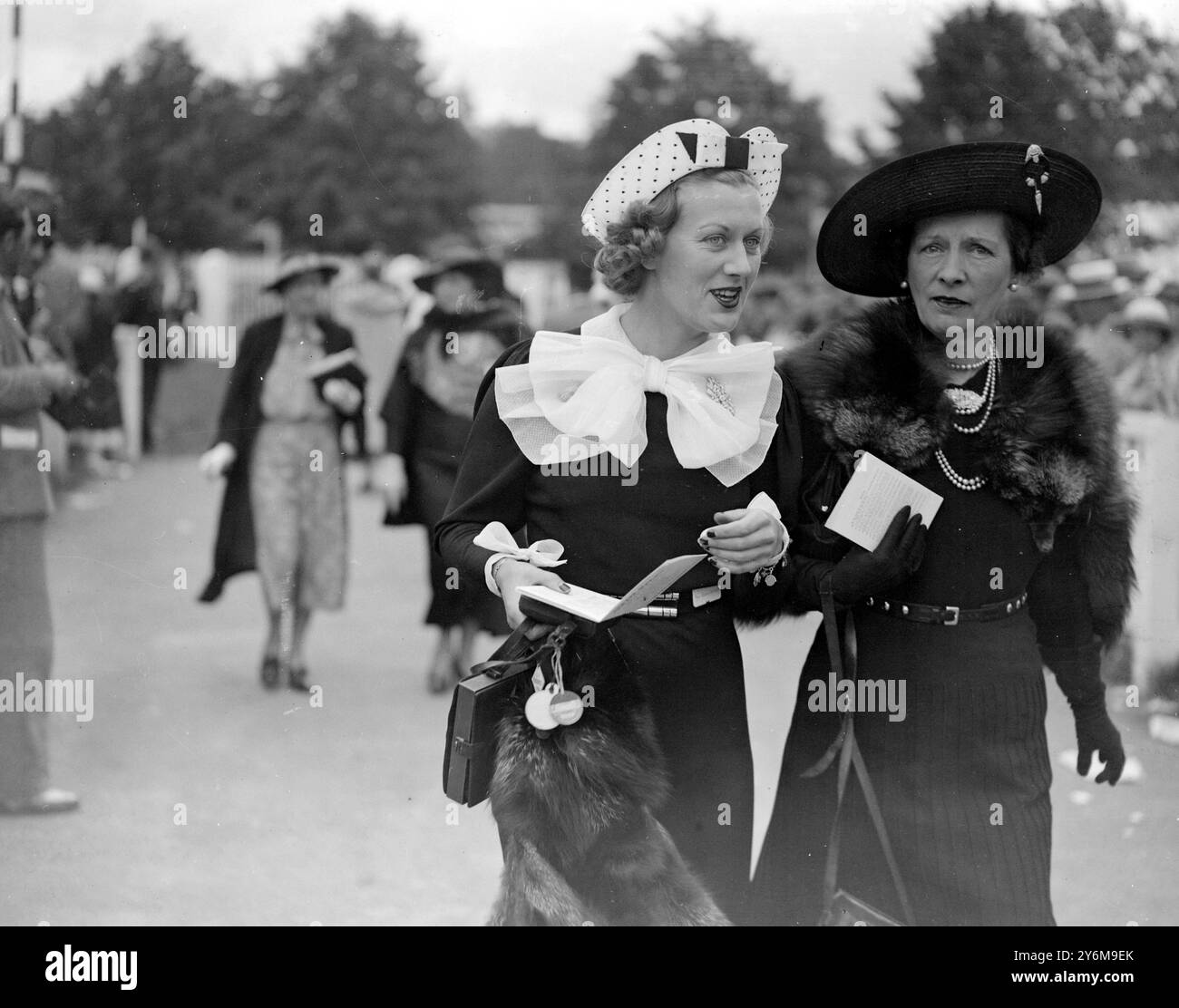 Miss ascot Black and White Stock Photos & Images - Alamy