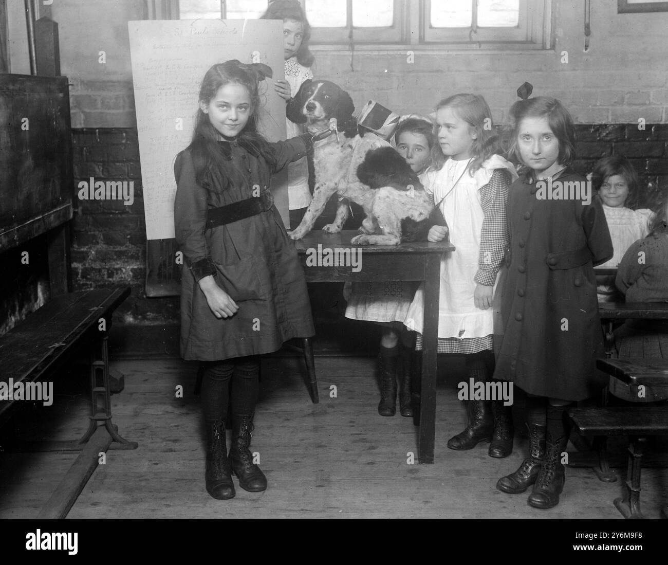 "Billy" the headmistress' dog at St Paul's School, Kingston Hill, has ...