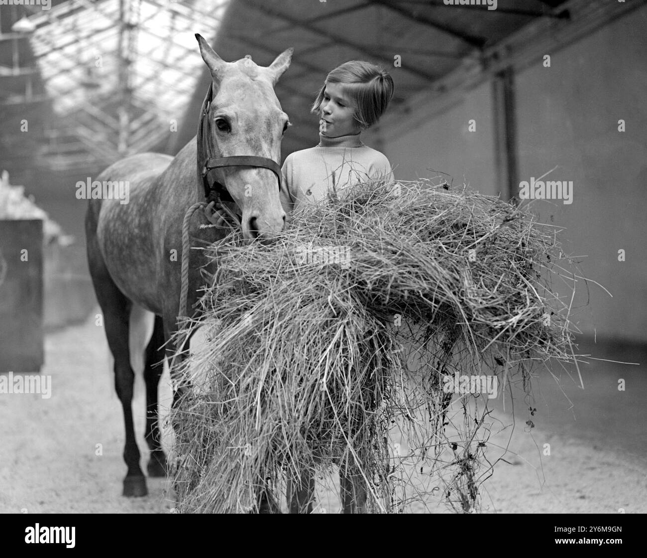 National Pony Show at Agricultural Hall, Islington. Miss Daphne Porter ...