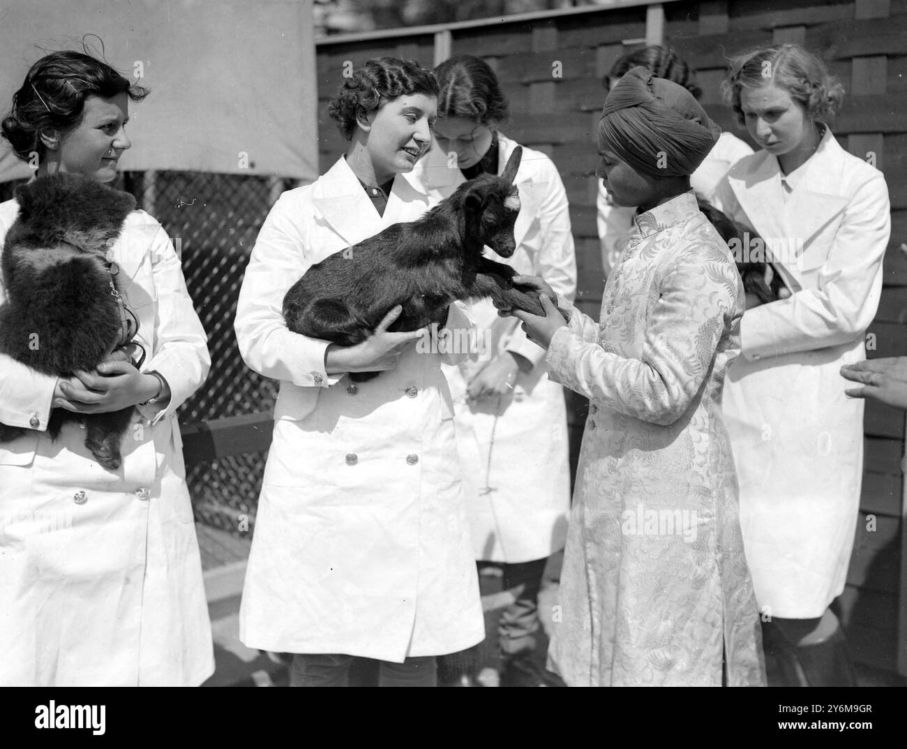 Pets Corner at the Zoo. "Sabu", the elephant boy of film fame, arrives ...