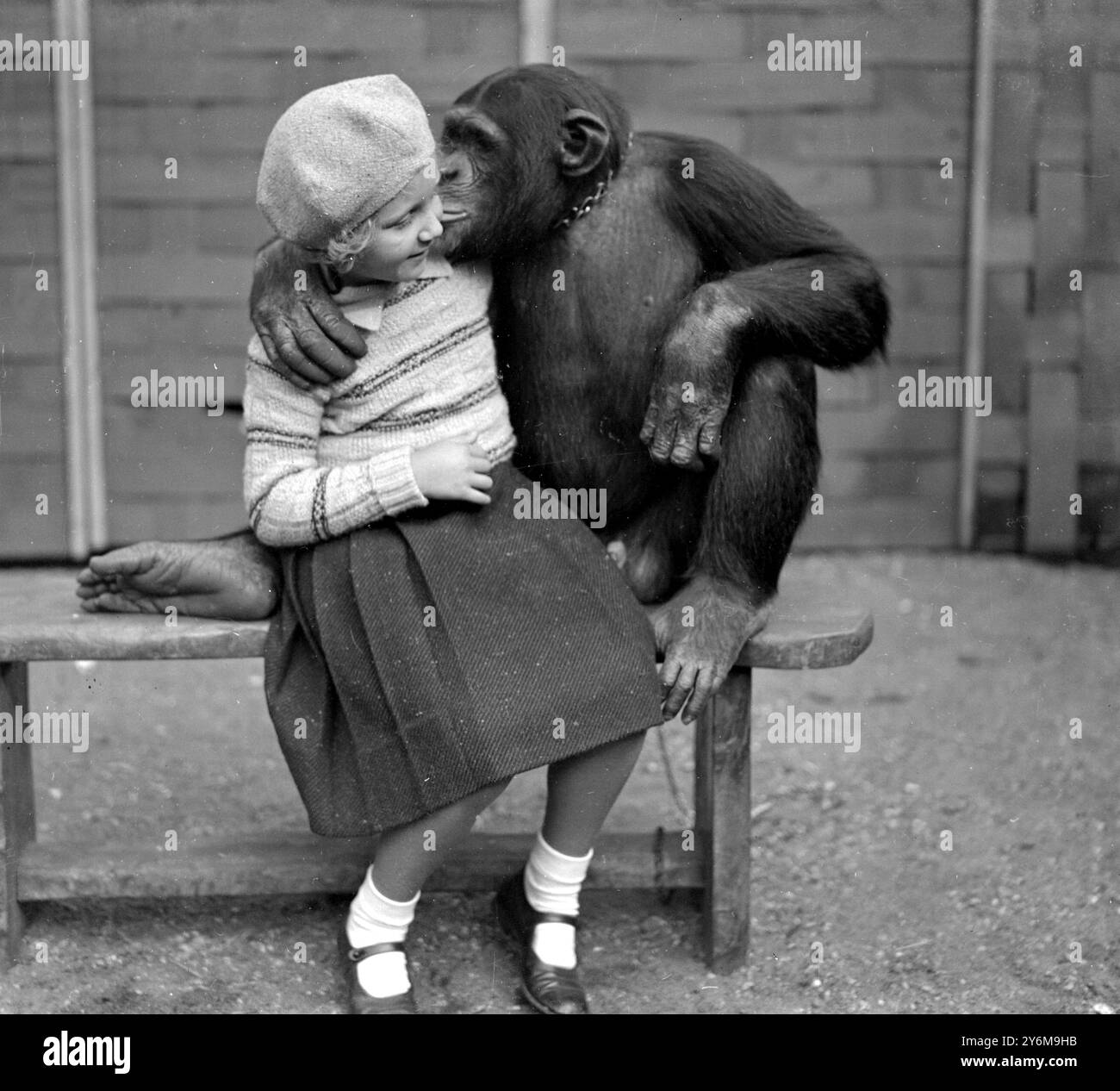 Pets Corner at the Zoo. Farewell scenes on the closing down of "Pets ...