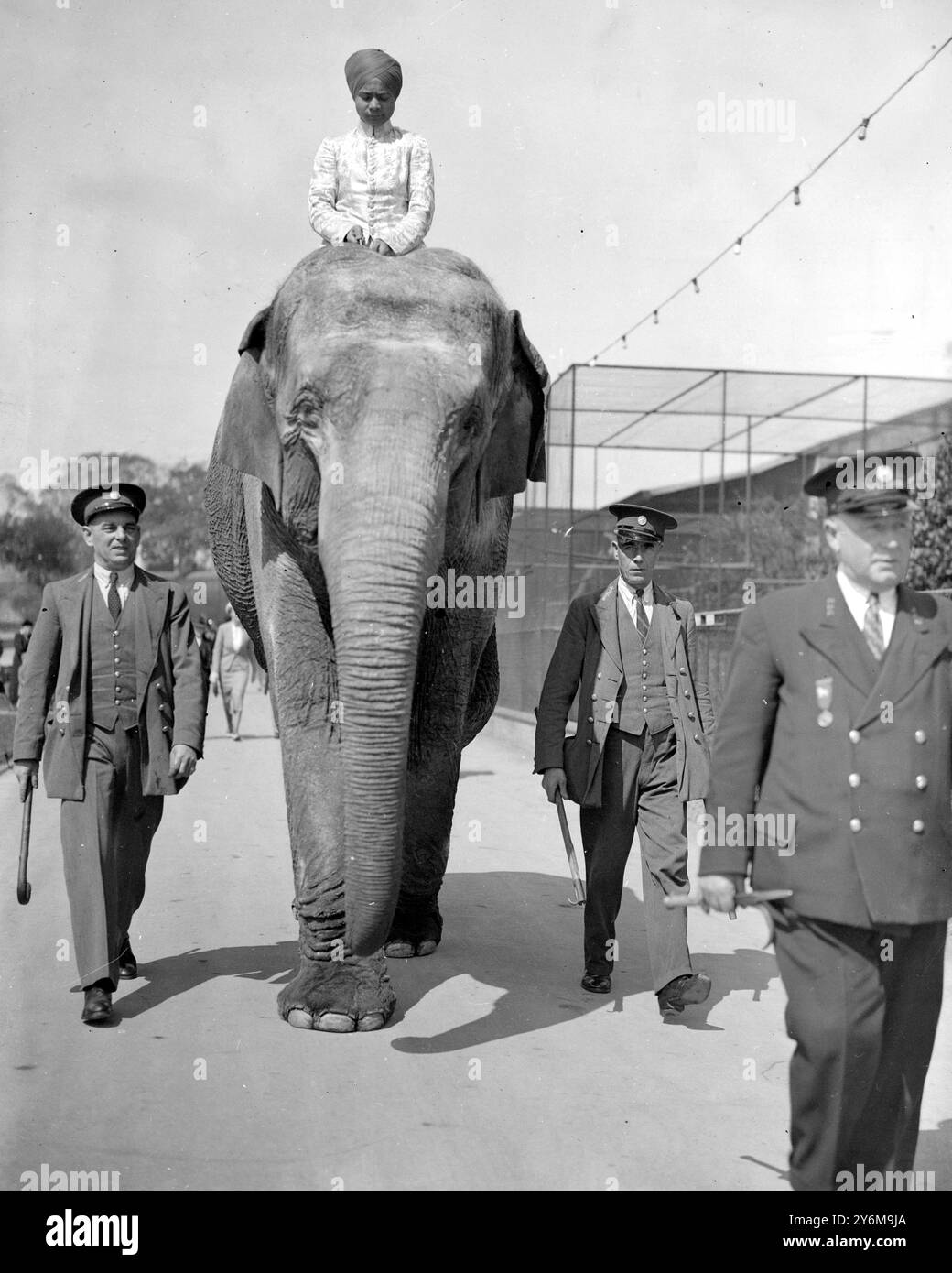 Pets Corner at the Zoo. "Sabu", the elephant boy of film fame, arrives ...
