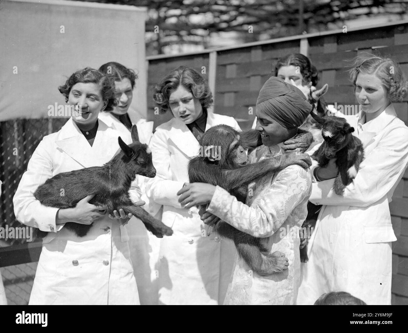 Pets Corner at the Zoo. "Sabu", the elephant boy of film fame, arrives ...