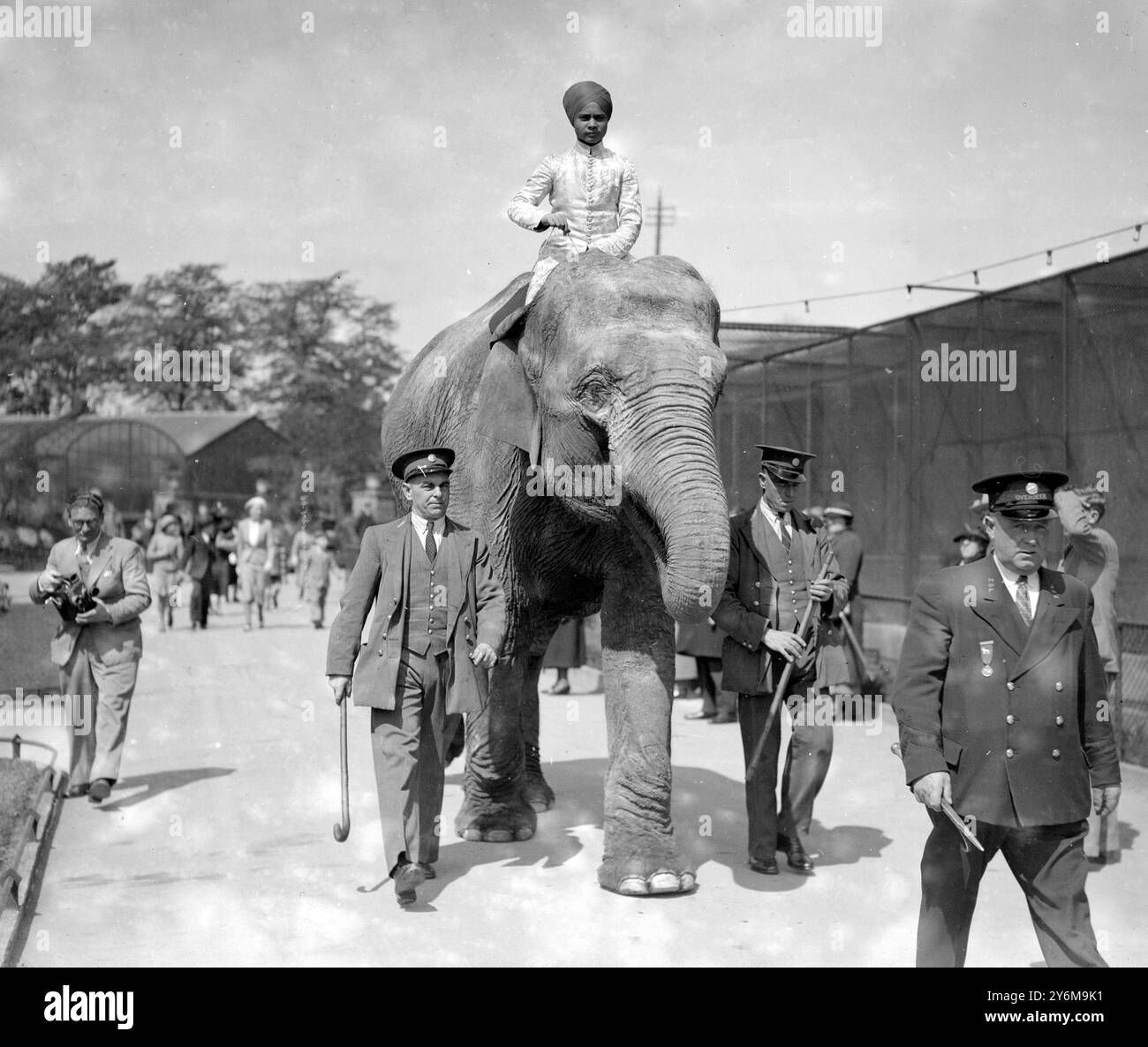 Pets Corner at the Zoo. "Sabu", the elephant boy of film fame, arrives ...
