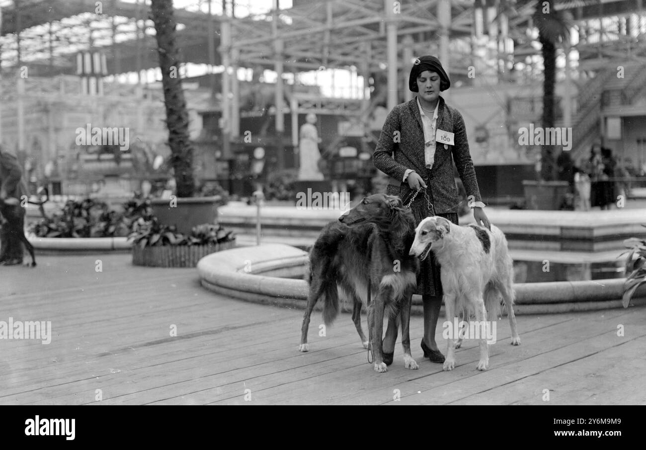 Kennel Club Show at Crystal Palace. Miss Diana Atkinson and her Borzois ...