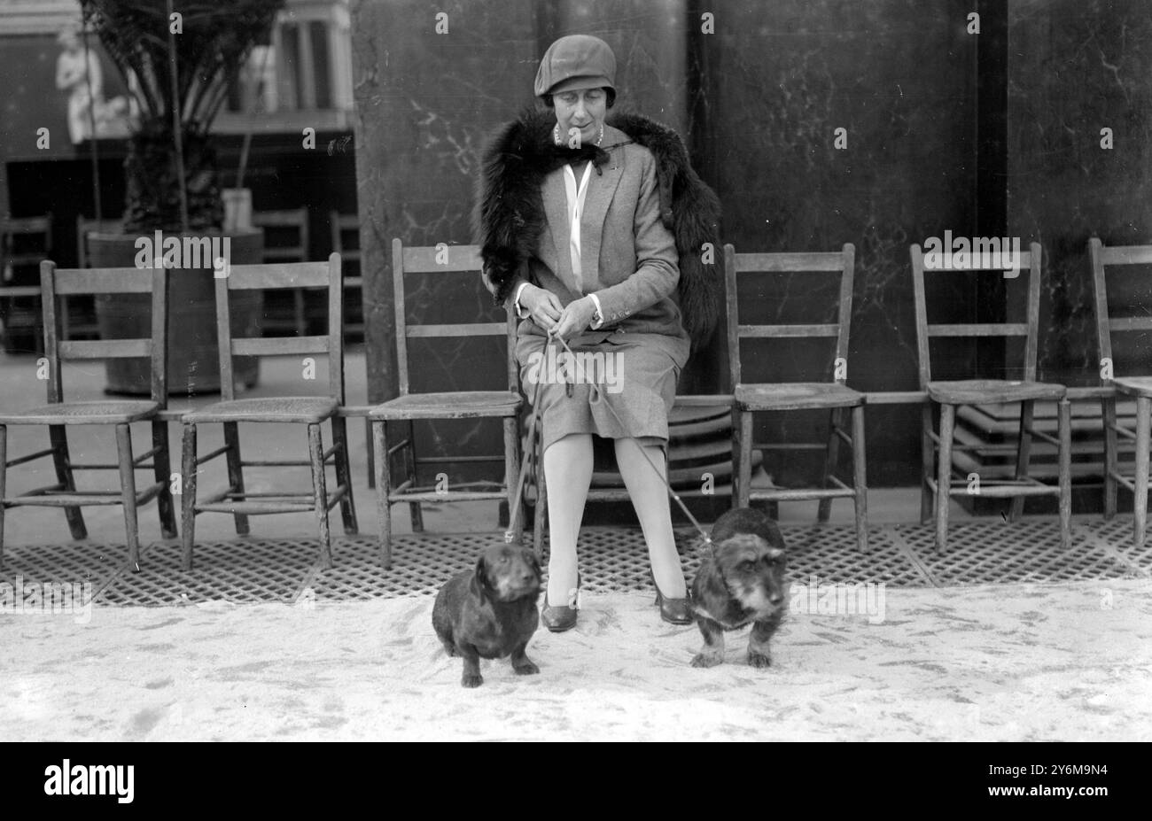 Kennel Club Show at Crystal Palace. Mrs Lambe (wife of Air Vice Marshal ...