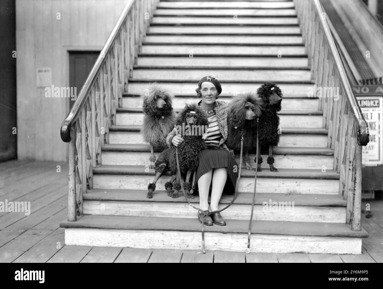 Kennel Club Show at Crystal Palace. Mrs Murray-Wilson and her French ...