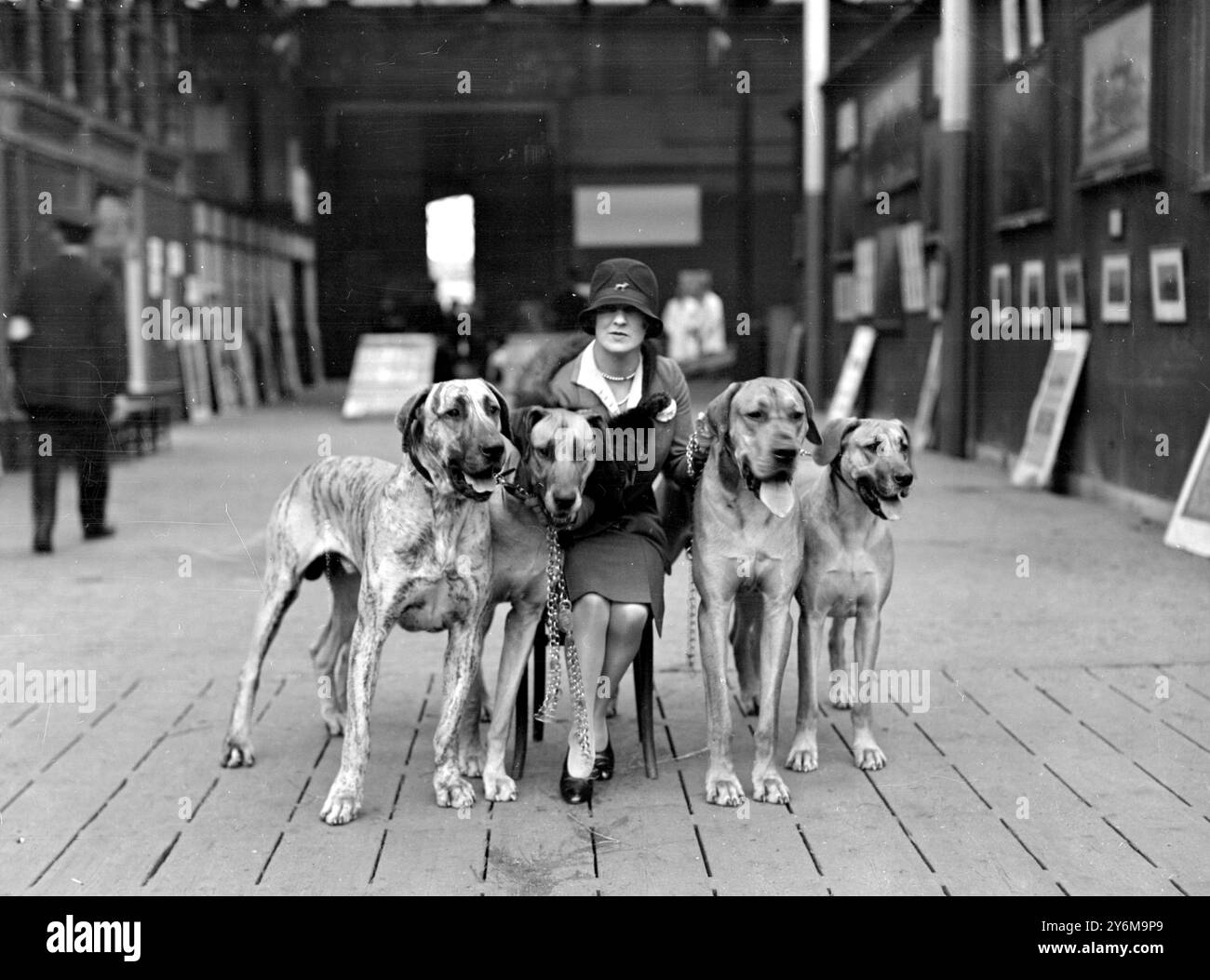 Royal Veterinary College Dog Show at the Crystal Palace. Mrs James Rank ...