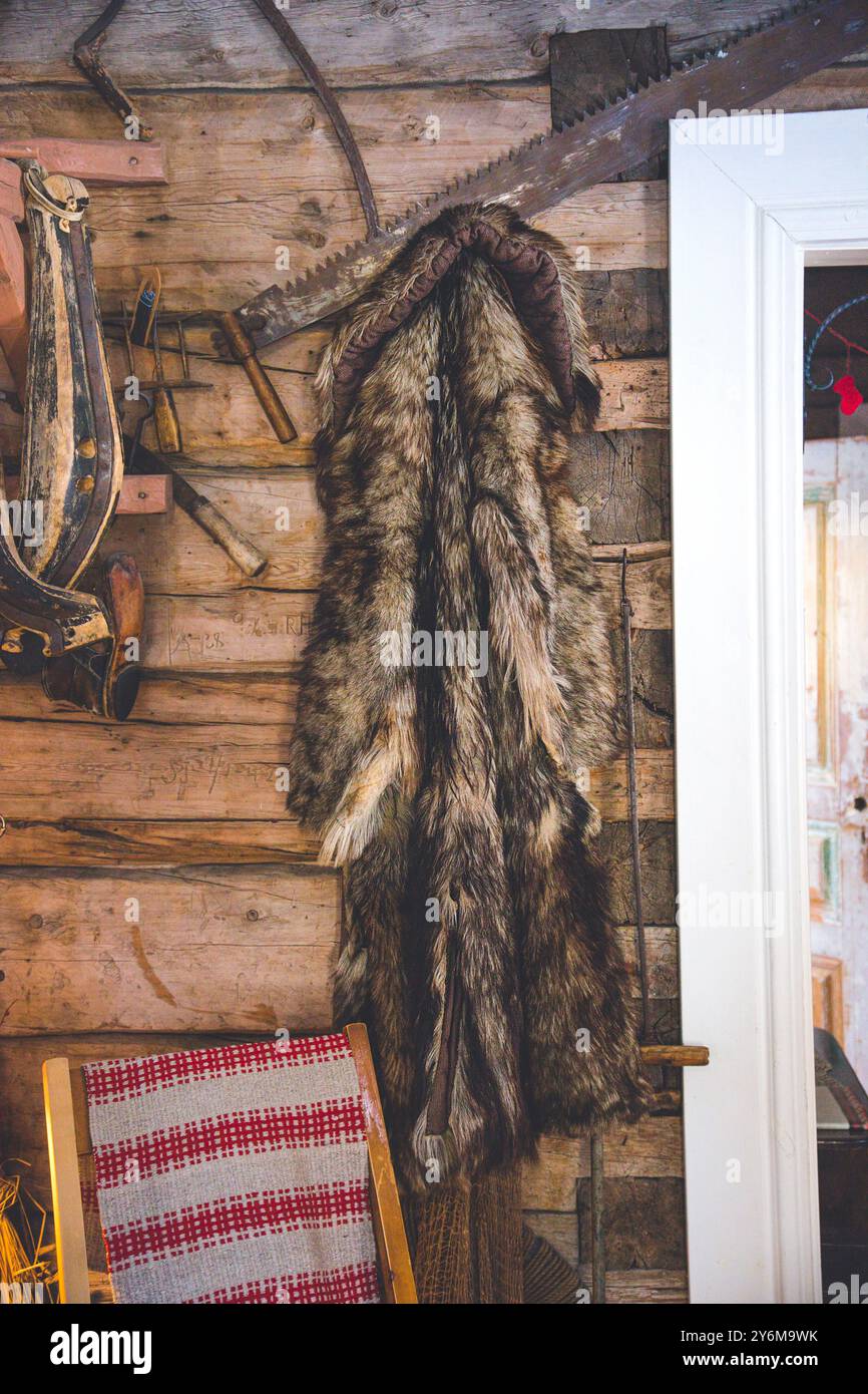 Finland, Lapland, still life on the theme of winter. Miscellaneous ...