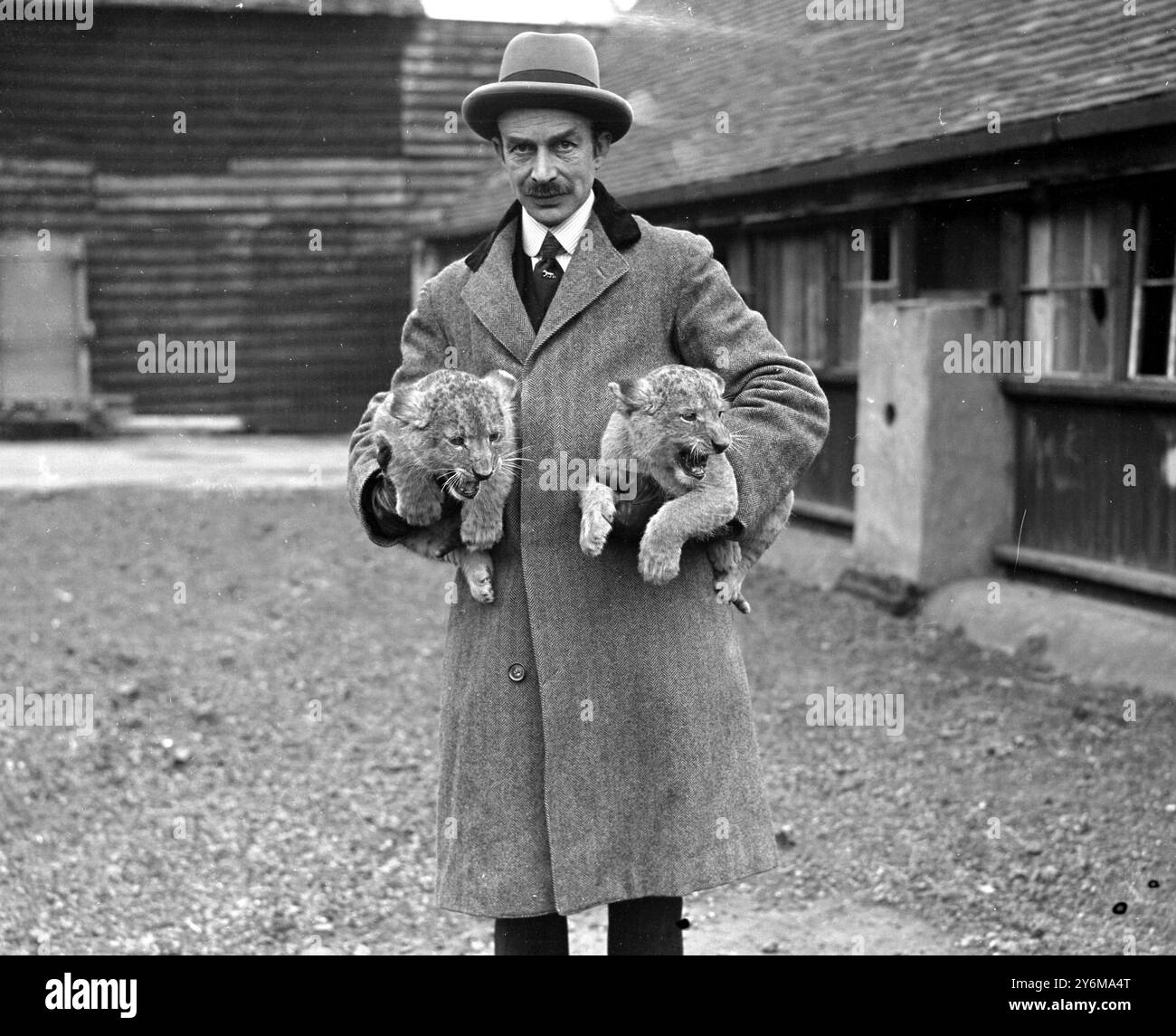 At Mr Tyrwhitt-Drake's Private Zoo, Cobtree Manor, Maidstone. Two lion ...