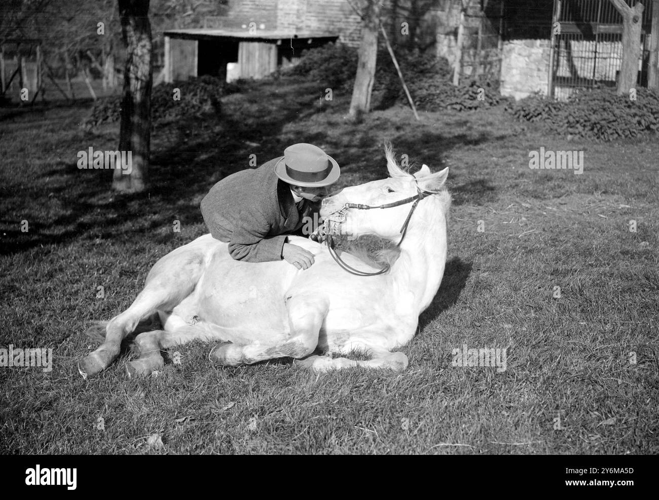 Private zoo Black and White Stock Photos & Images - Alamy