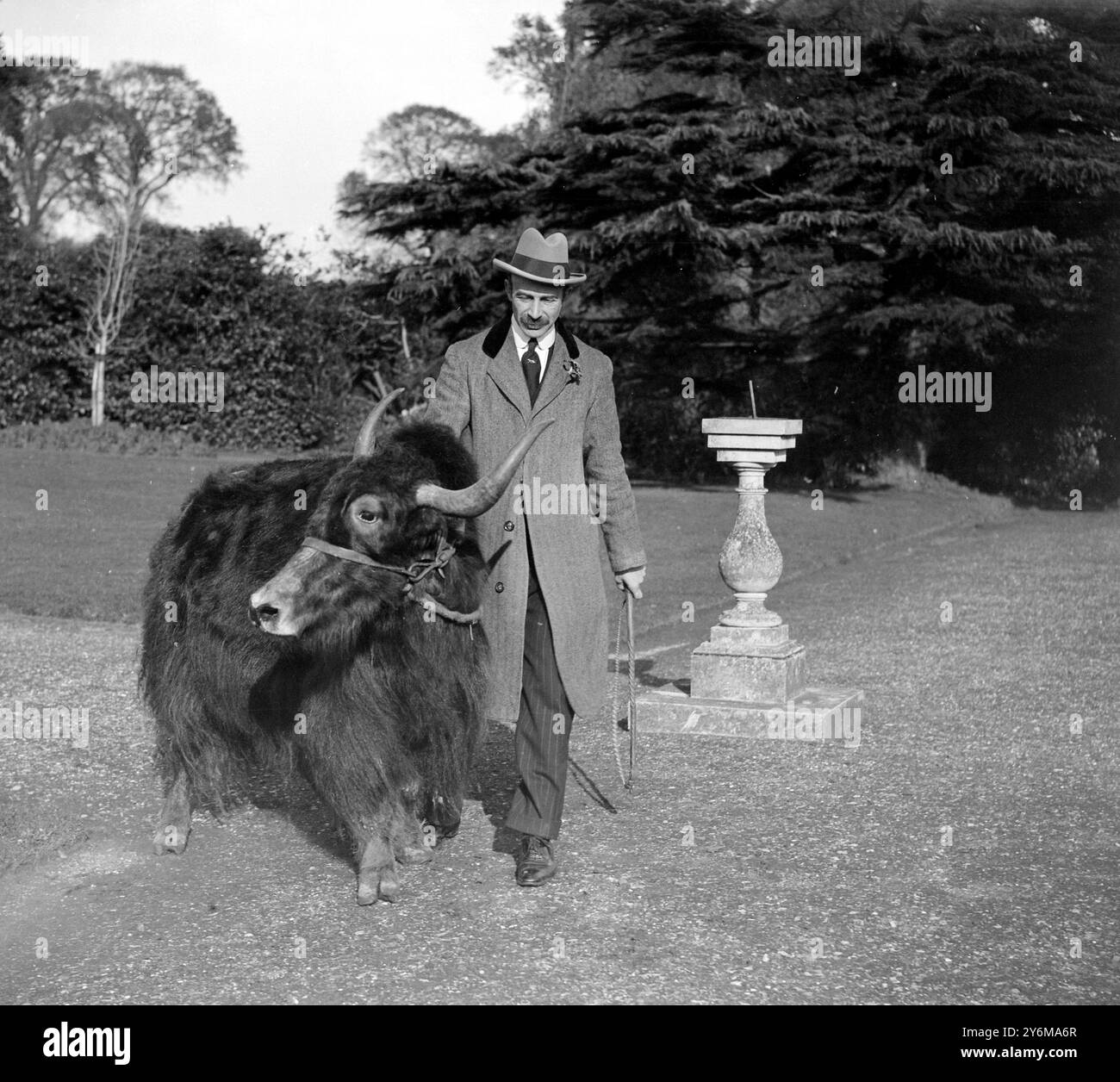 At Mr Tyrwhitt-Drake's Private Zoo, Cobtree Manor, Maidstone. With a ...