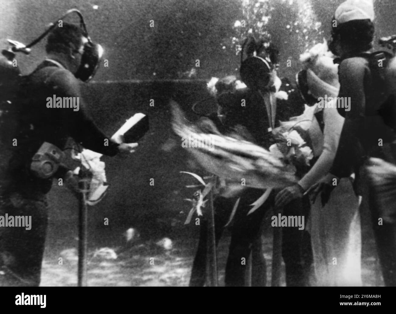 Underwater Wedding in the tank at Marineland, Palos Verdes, California ...