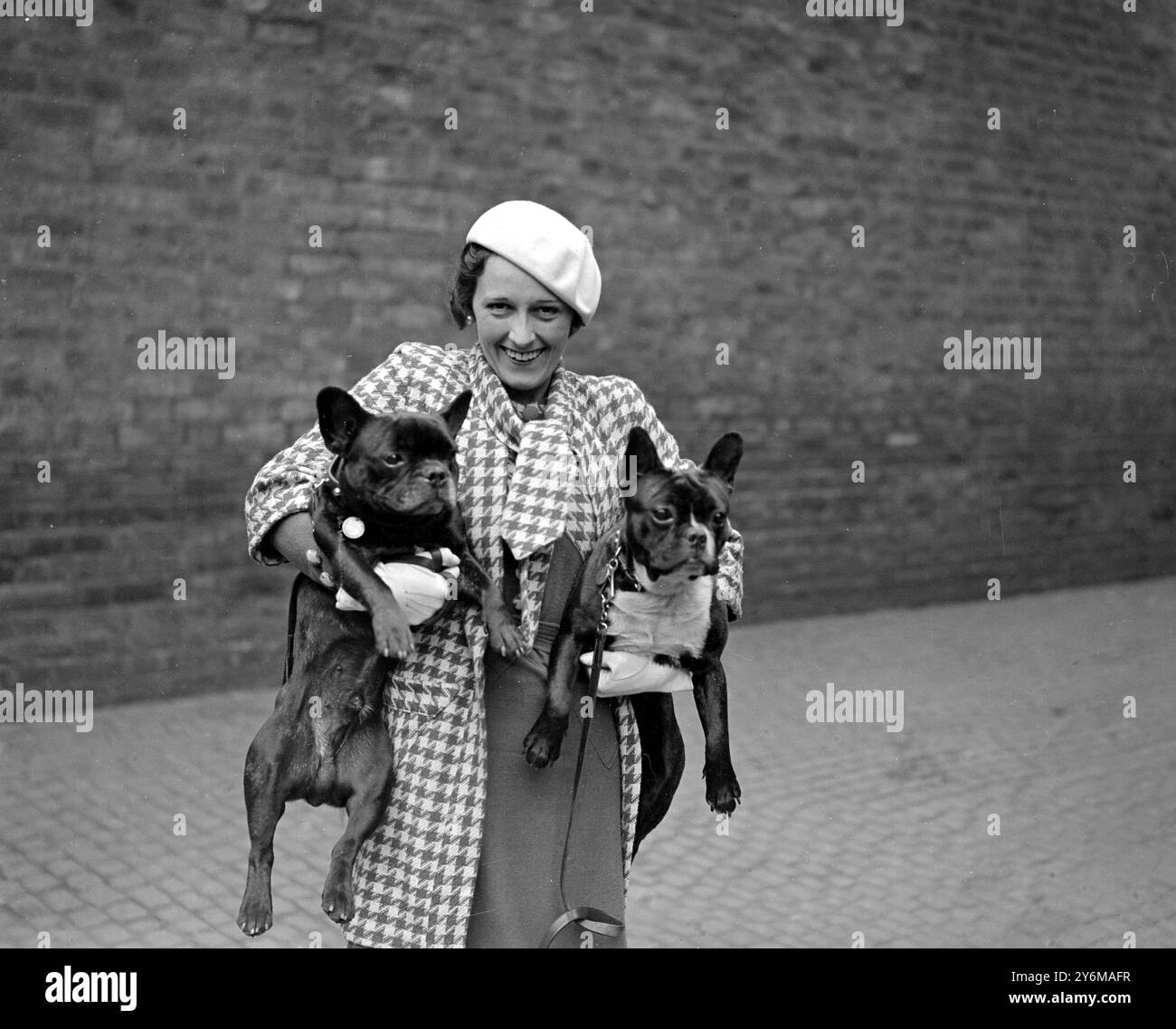 French Bulldog Show at Tattersall's. Miss Timmis ahd her French ...