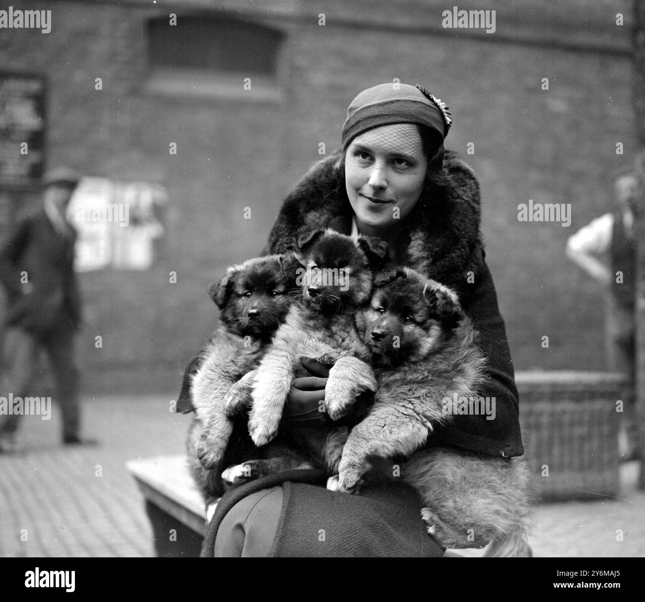 Keeshond Show at Tattersall's. Miss Fisher with her Keeshond puppies ...