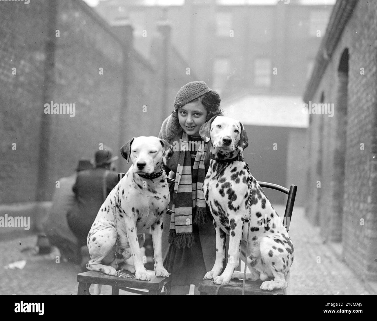 Dalmatian Show at Tattersall's. Miss Amelia Nathan with "Rufus" and ...