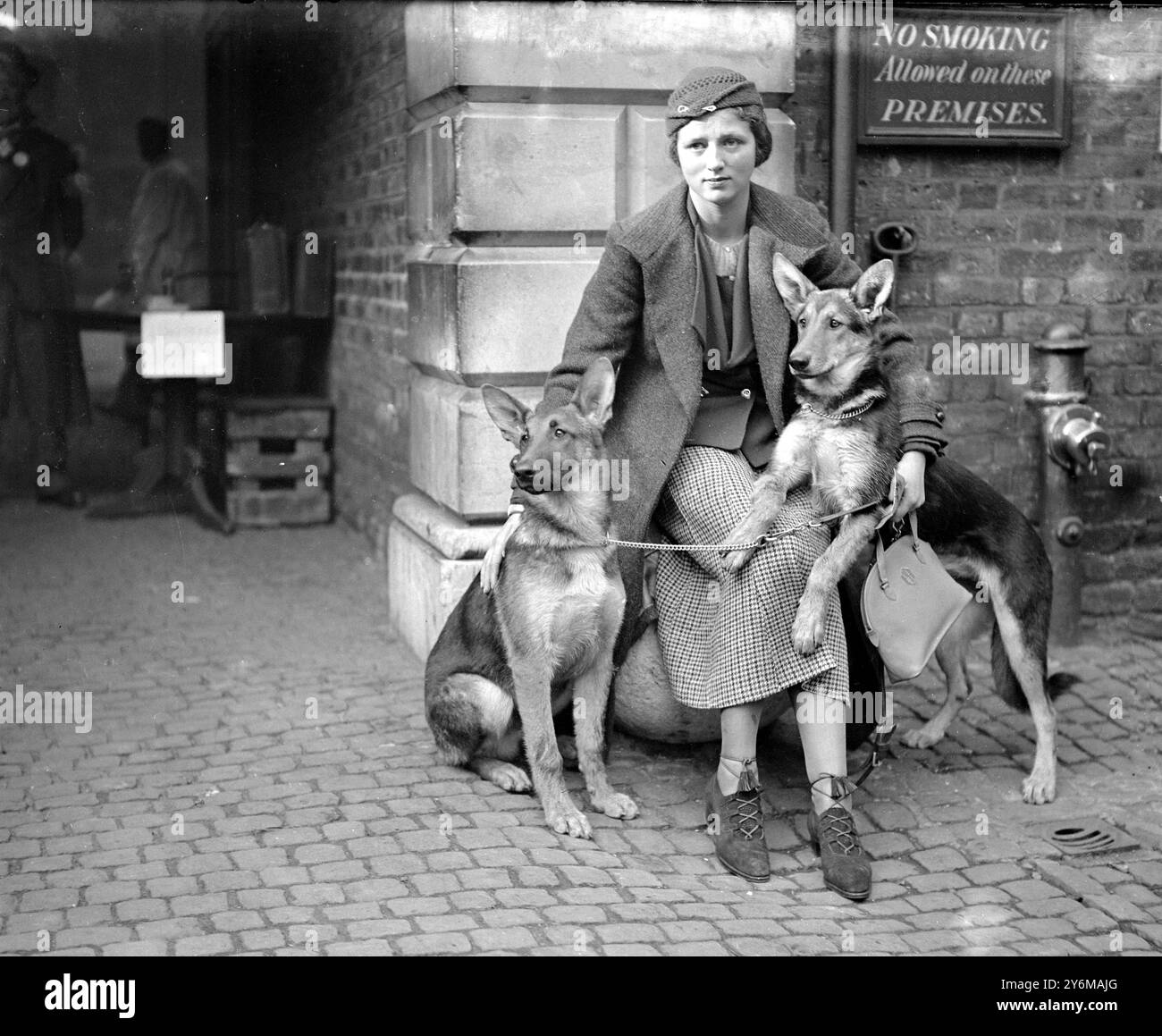 Alsatian Show at Tattersall's. Miss Pamela Howard and her Alsatians ...