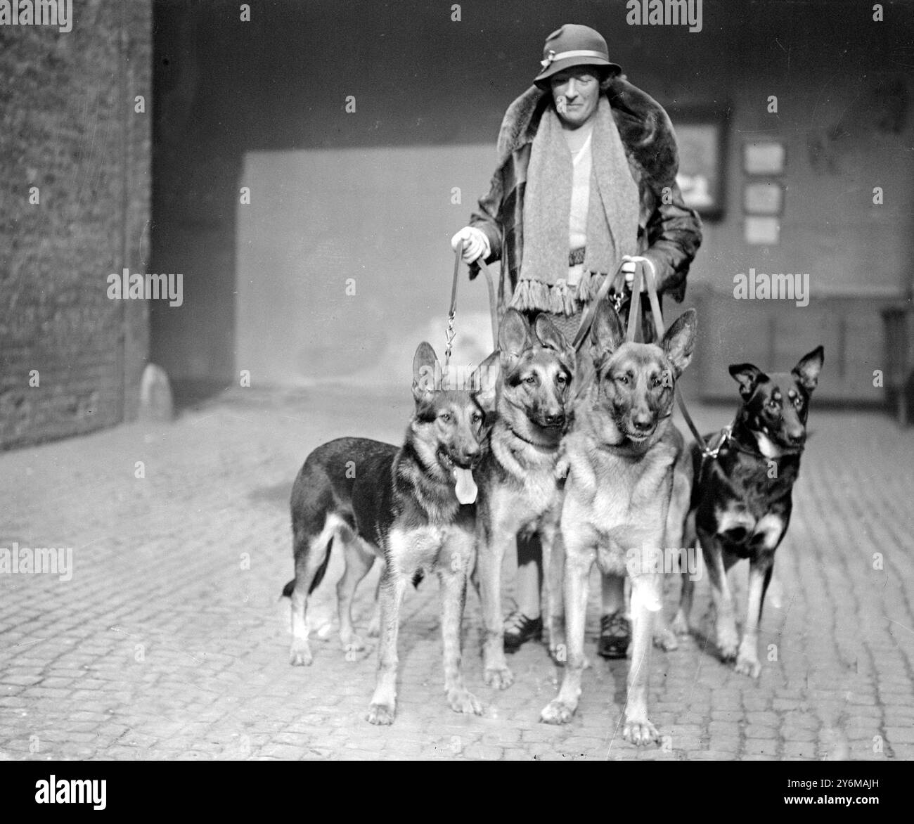 Alsatian Show at Tattersall's. Mrs Leslie Thornton with her Southdown ...
