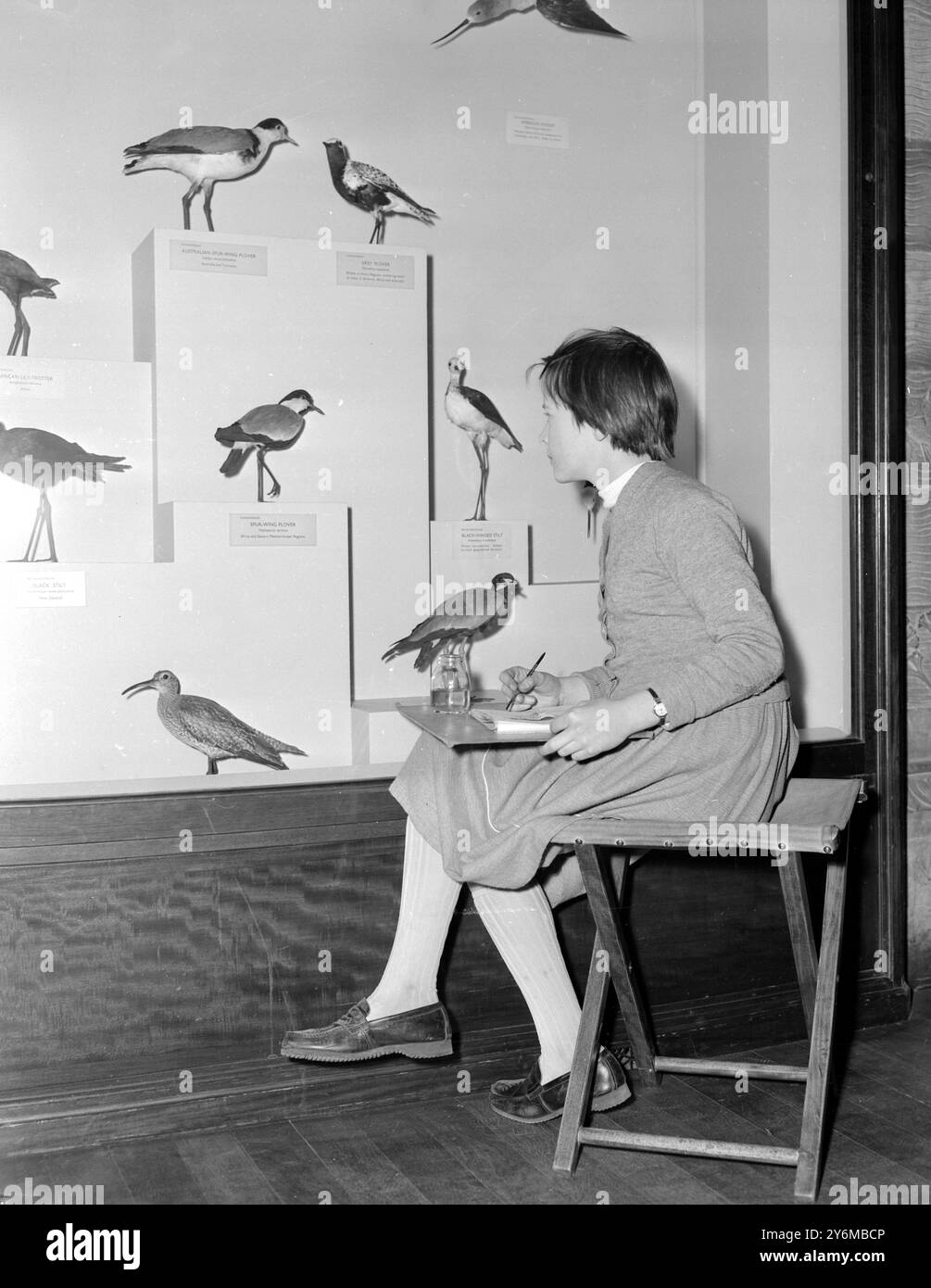 London: Janet Page, aged 12, of Bickley, Kent, Draws birds in the ...