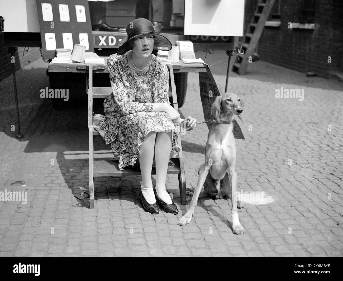 Saluki Society's annual Show at Tattersall's. Miss Joan Dalziel. 14 ...