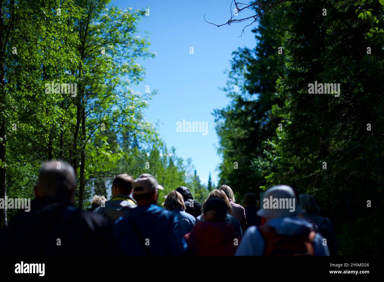 Photo of forest people hi-res stock photography and images - Alamy