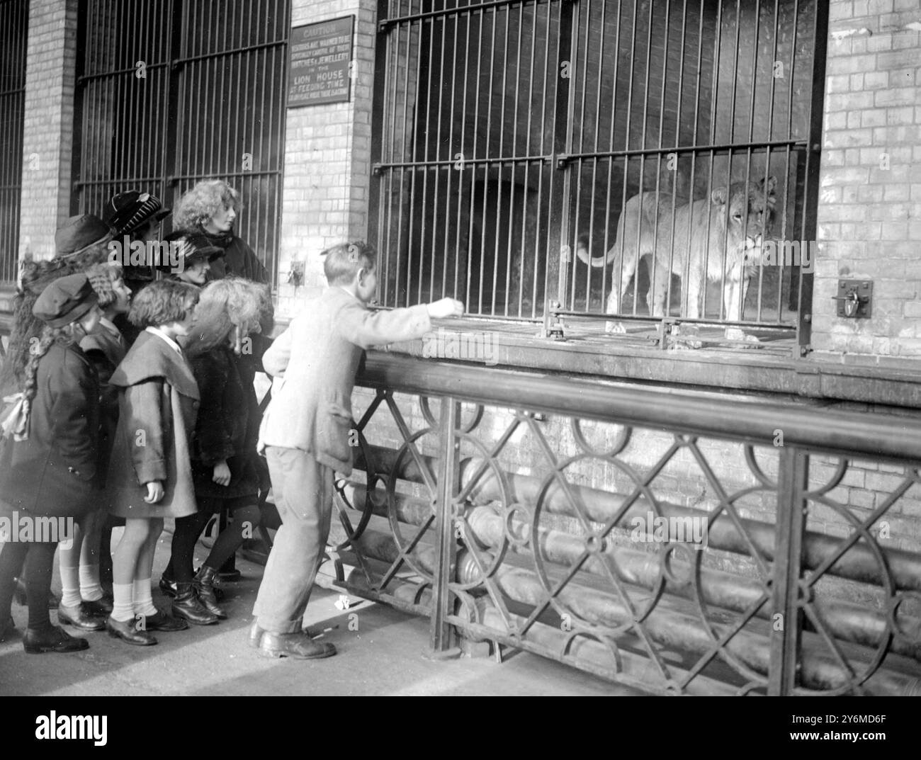 Child animal actors in "where the rainbow ends" visit the Zoo to study ...