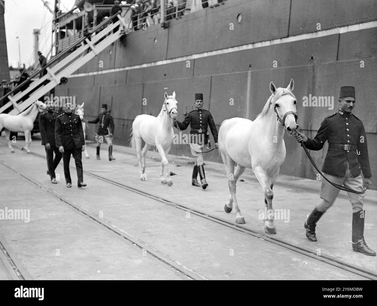 At the Royal Albert Docks. Egyptian Mounted Police disembarking from ...