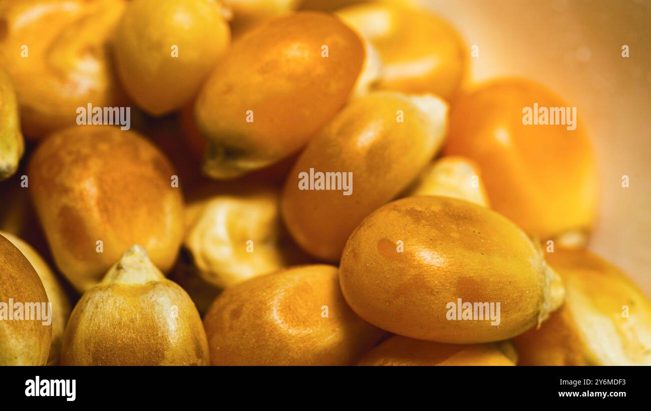 Seed scatter hi-res stock photography and images - Alamy