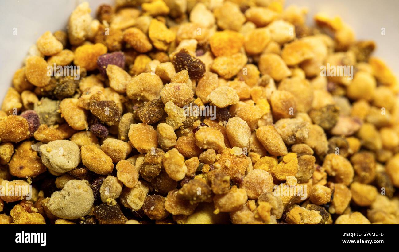 Macro bee photo hi-res stock photography and images - Alamy