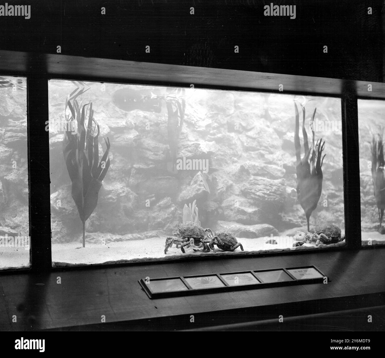 Zoo and aquarium Black and White Stock Photos & Images - Alamy
