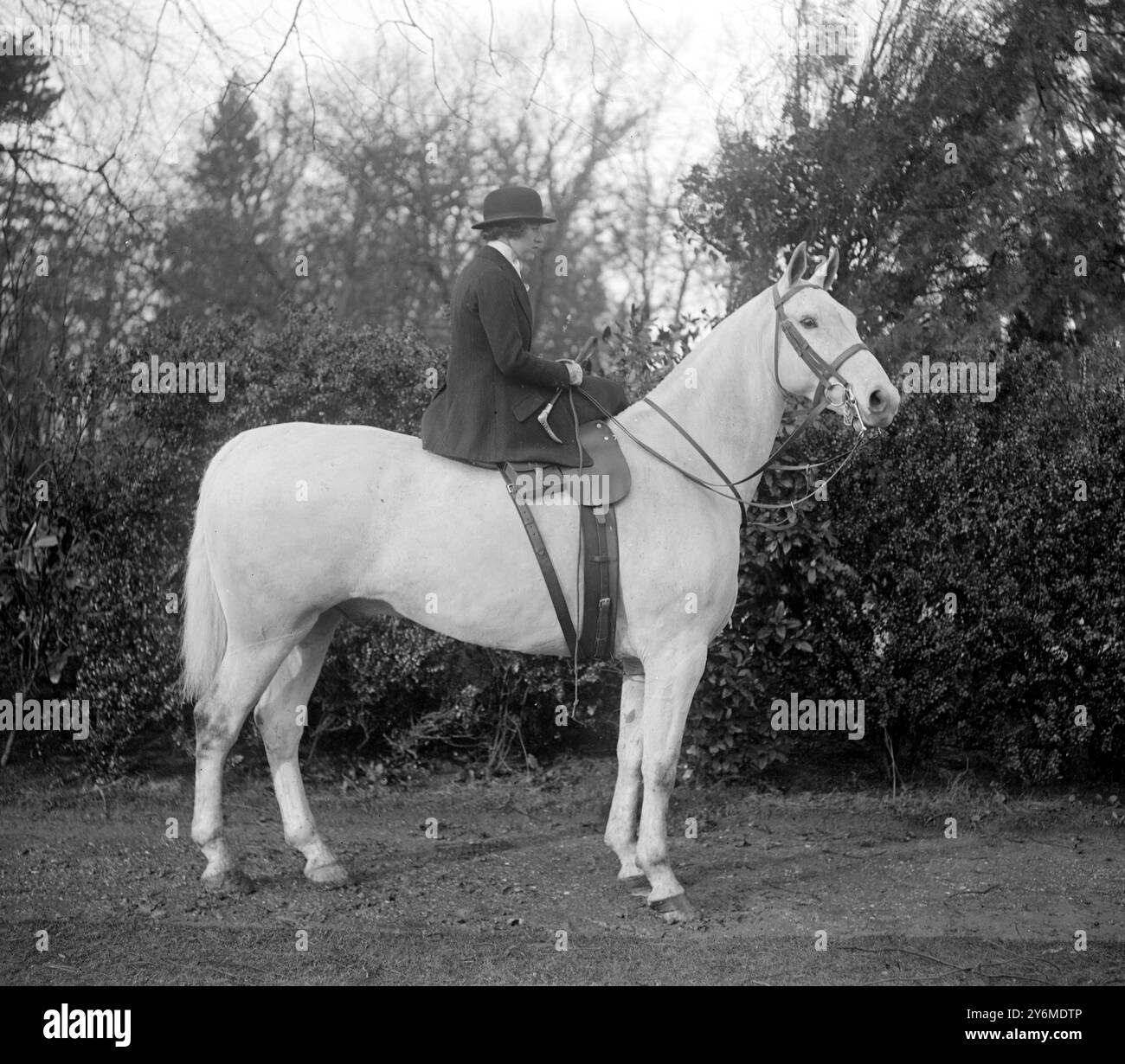 Mrs Victor Adamson on "Torpedo" at Towersey Manor, Thame, Oxon Stock ...