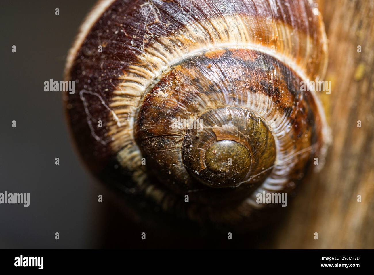 Close ratio hi-res stock photography and images - Alamy